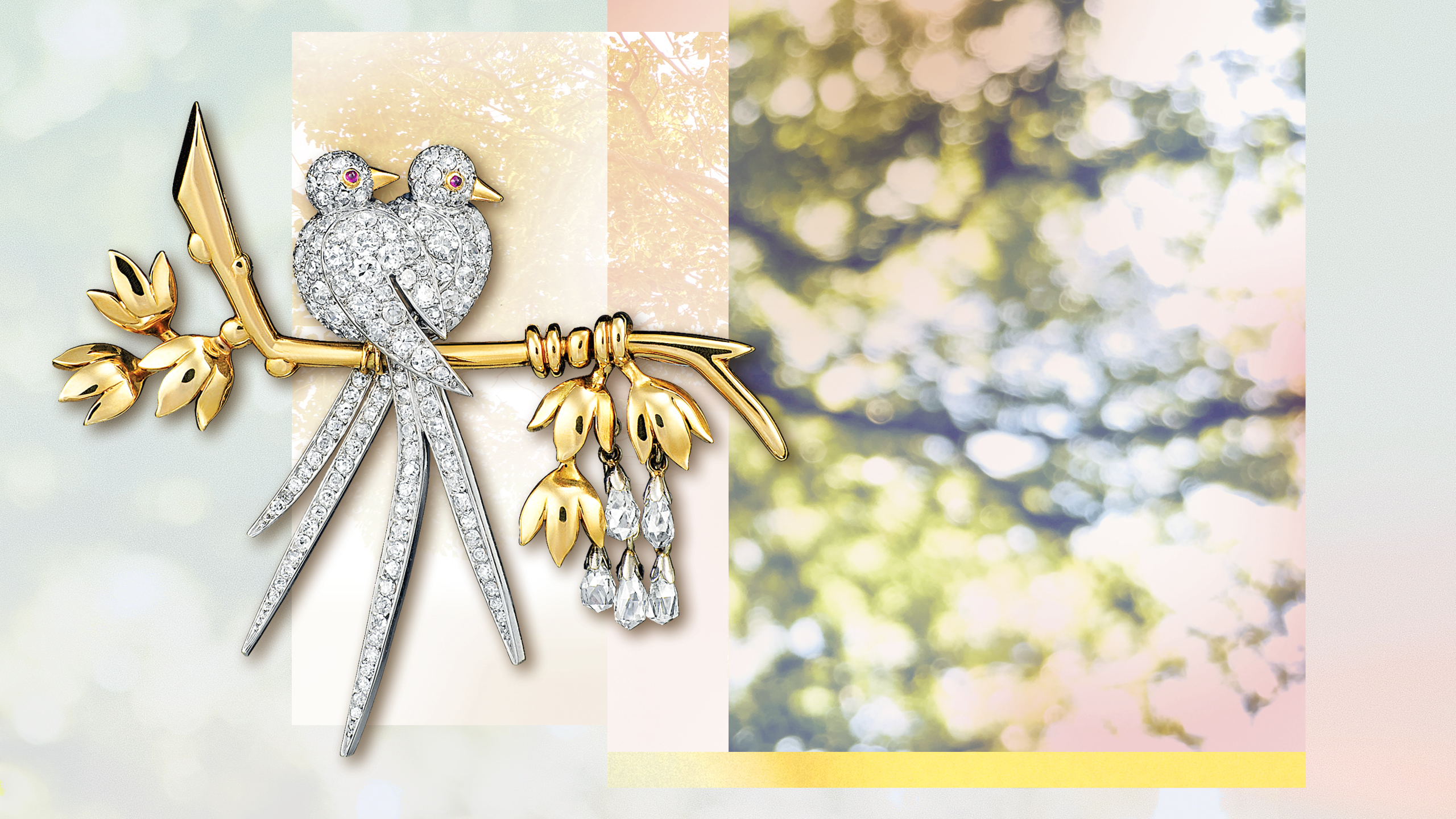 Summer’s Most Sparkling Diamond Birds