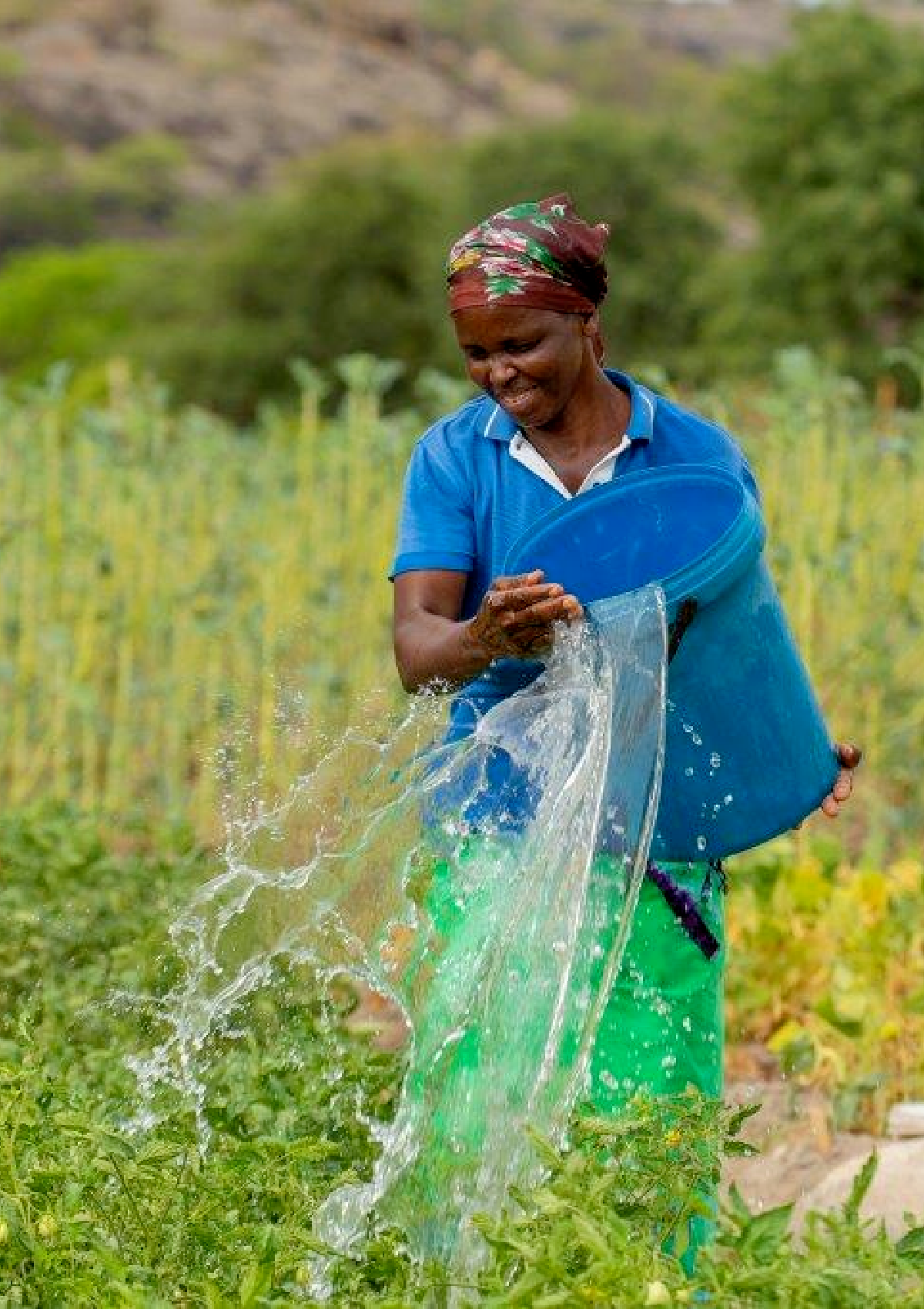 Sustainable Diamond & Development Pledges From NDC | Natural Diamonds