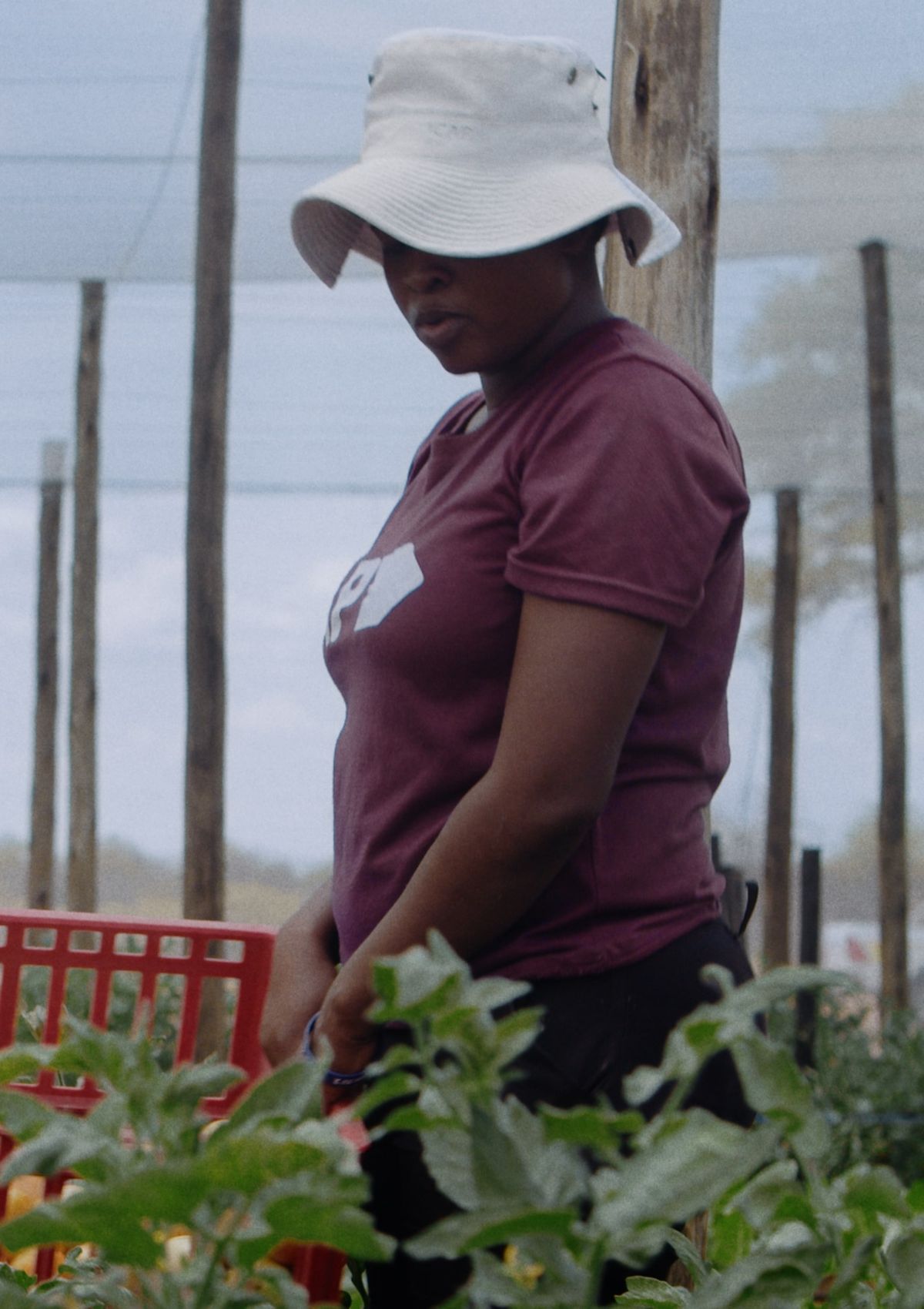 Sustainable Diamond & Development Pledges From NDC | Natural Diamonds