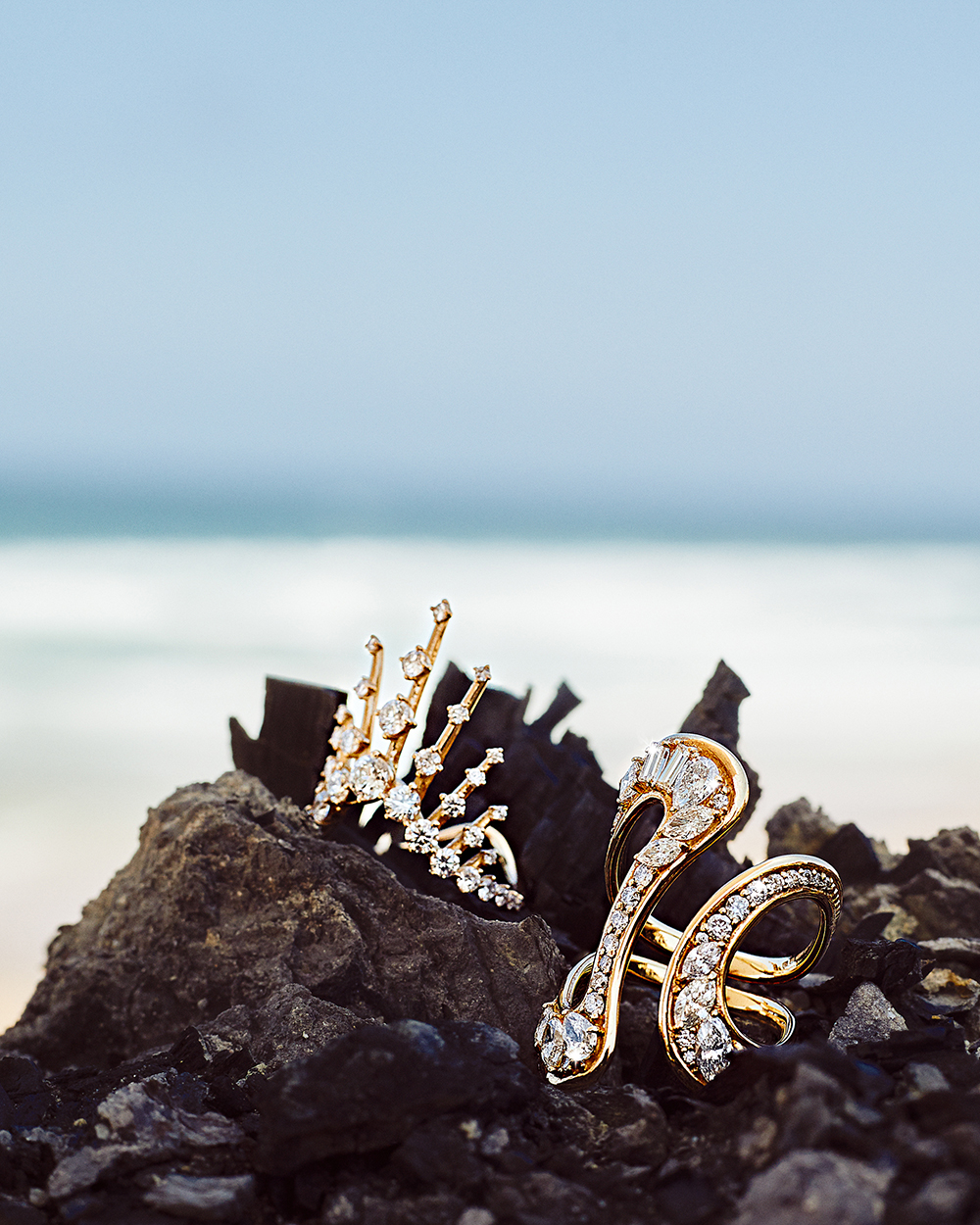 Fernando Jorge Found Uncommon Inspiration in the Familiar Round ...