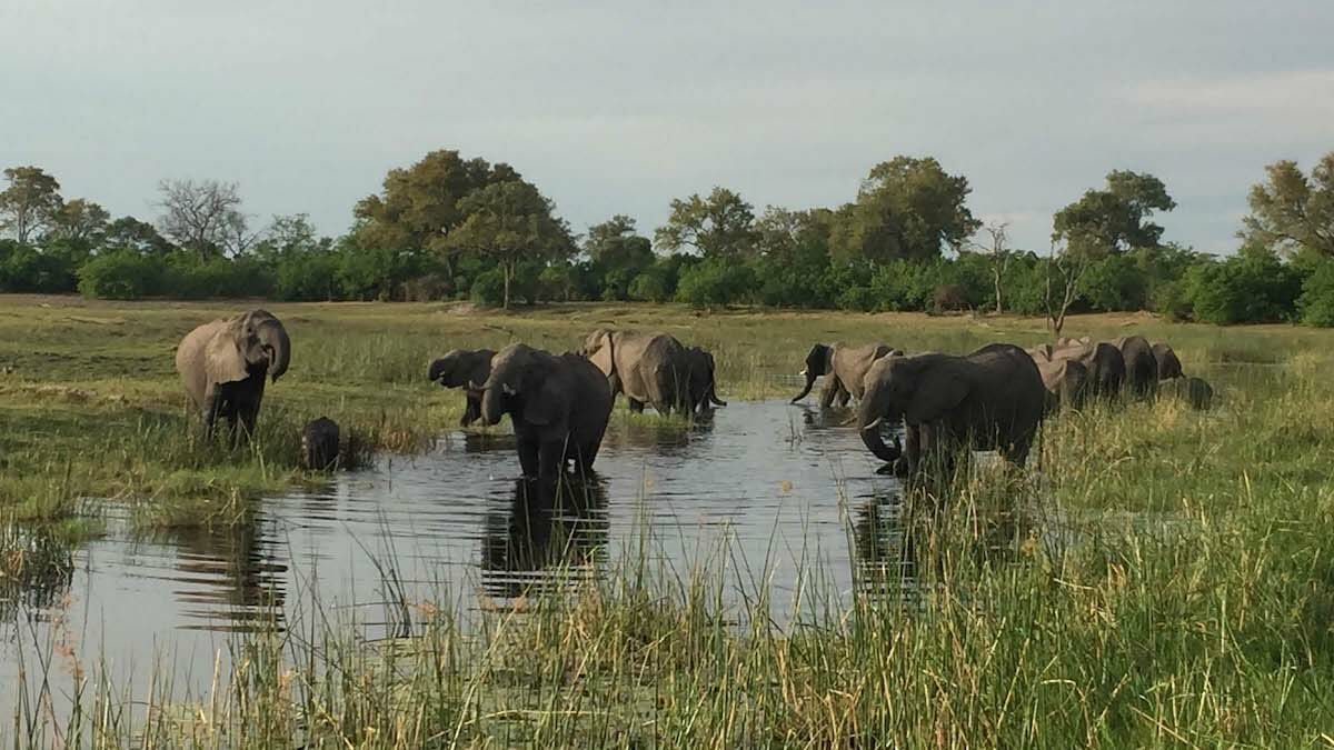 Destination Diamonds: Botswana’s Best Kept Secrets - Natural Diamonds