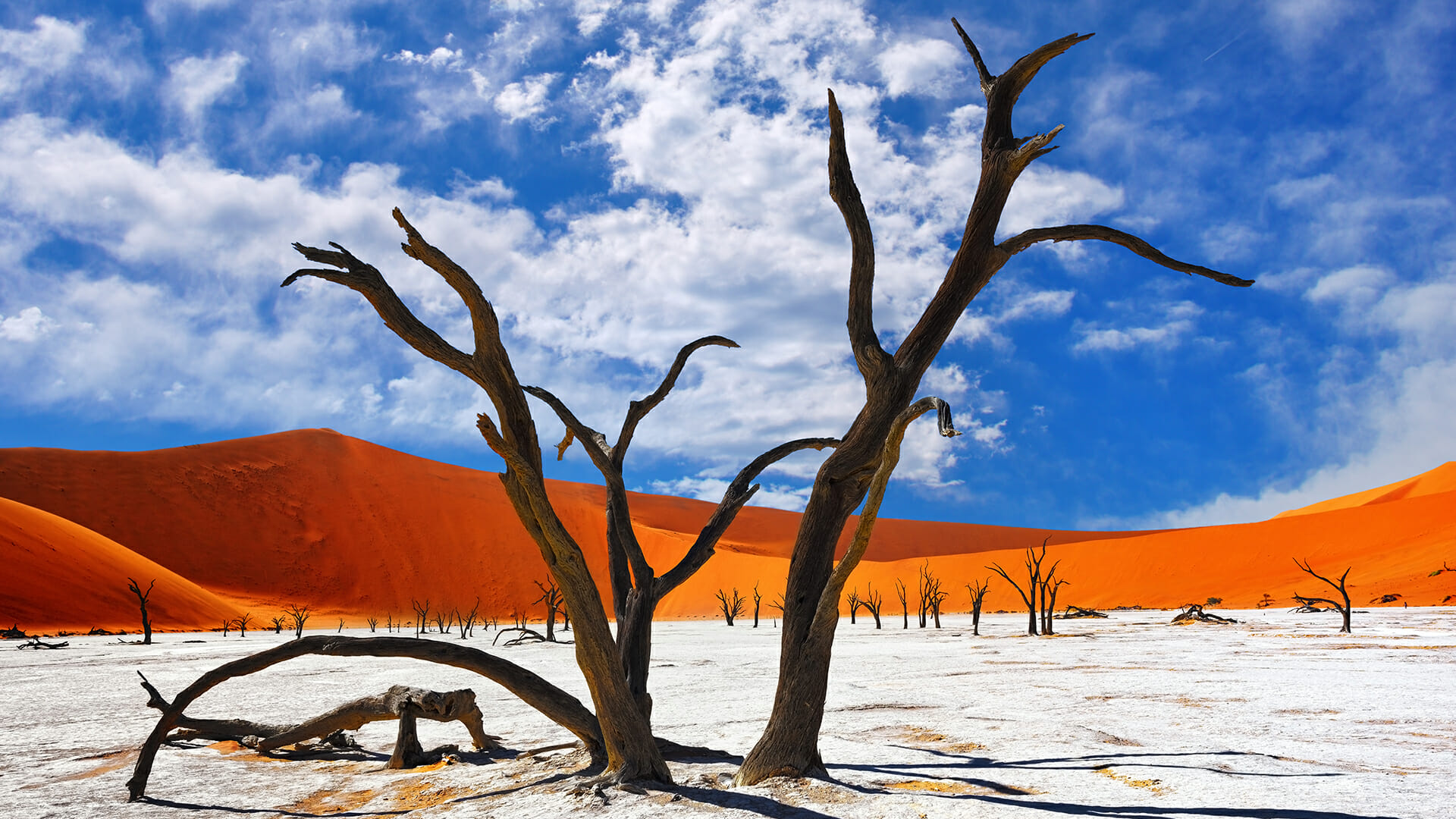 Diamonds From Namibia: The Epic Journey of Resilient Stones