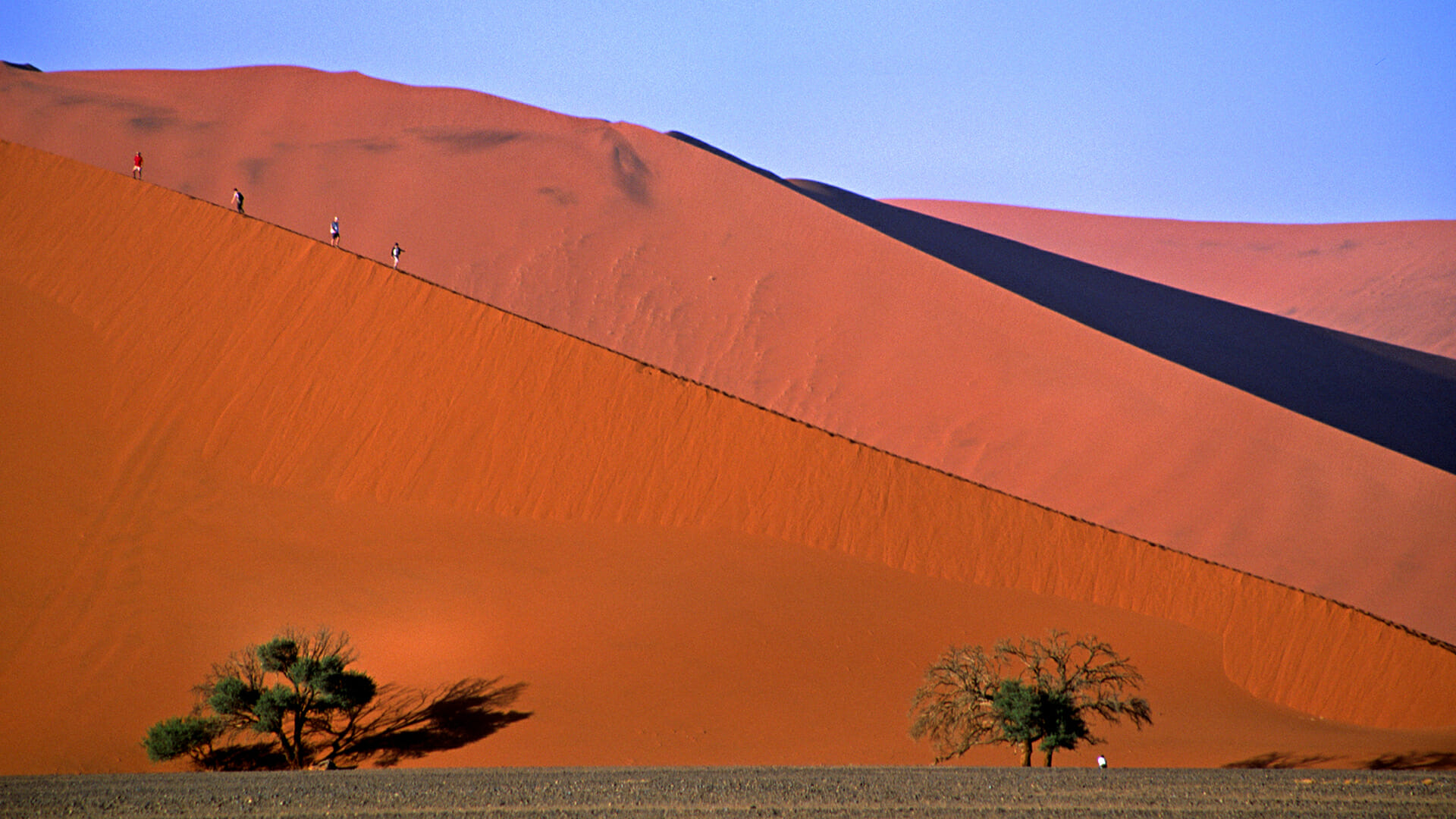 Diamonds From Namibia: The Epic Journey of Resilient Stones
