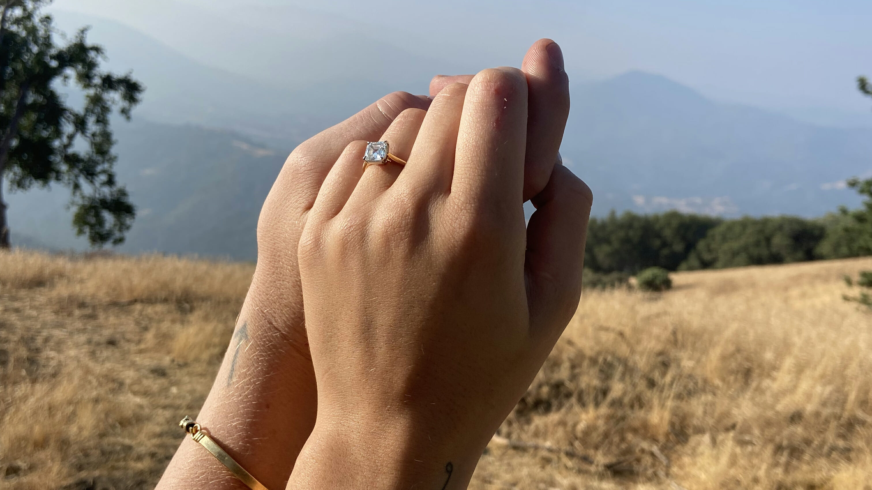 Object of My Affection: Max Papendieck & Julia Van Os - Natural Diamonds