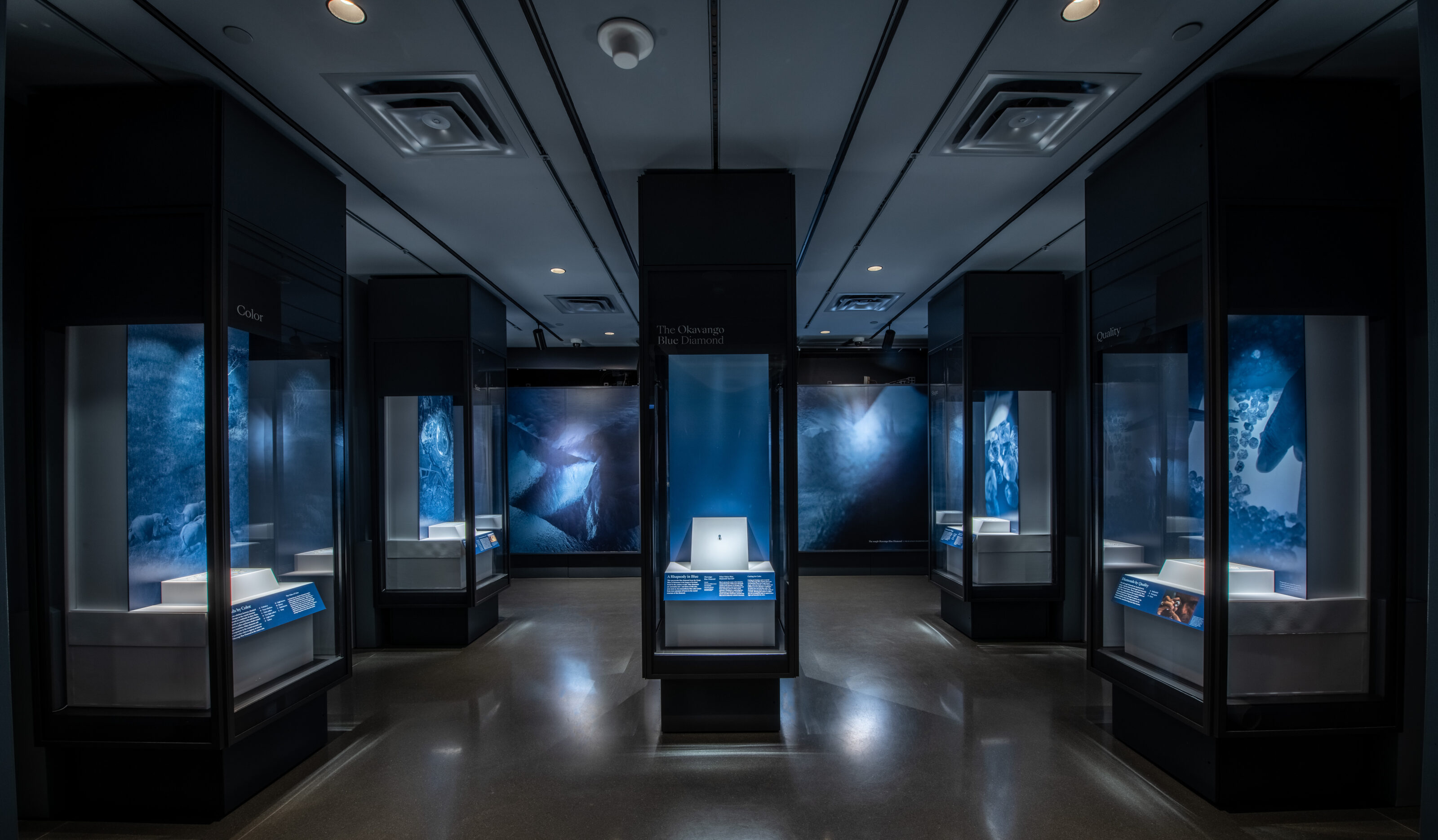 The Okavango Blue: Botswana's Dazzling National Treasure