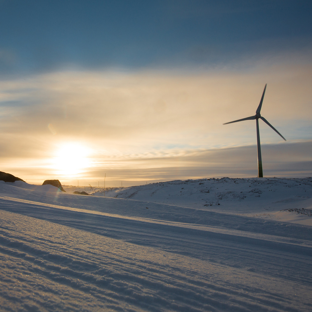 A Cut Above the Rest: Venus Jewel - Only Natural Diamonds