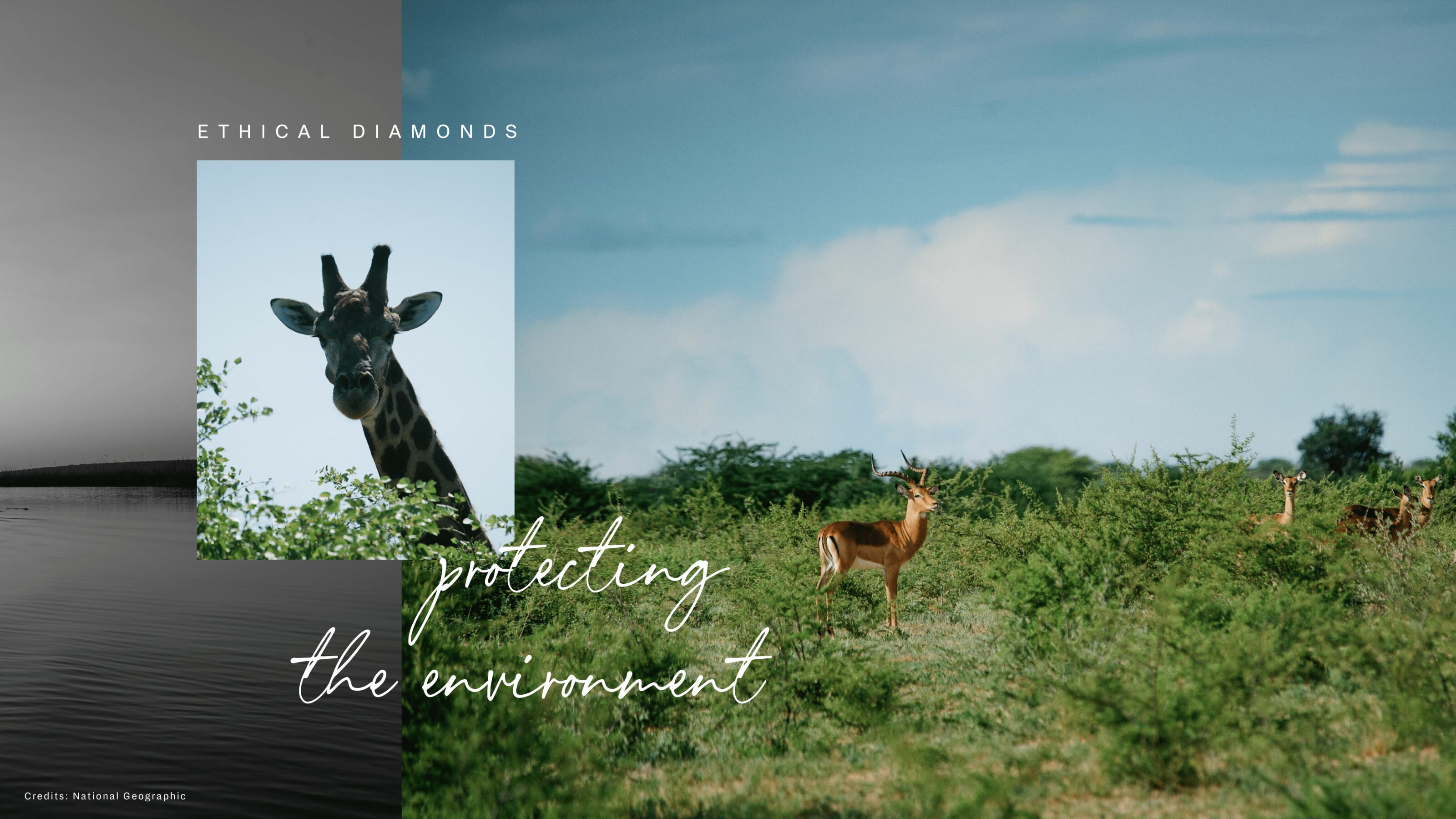 Natural diamonds a rare, precious and sustainable legacy- Natural Diamonds