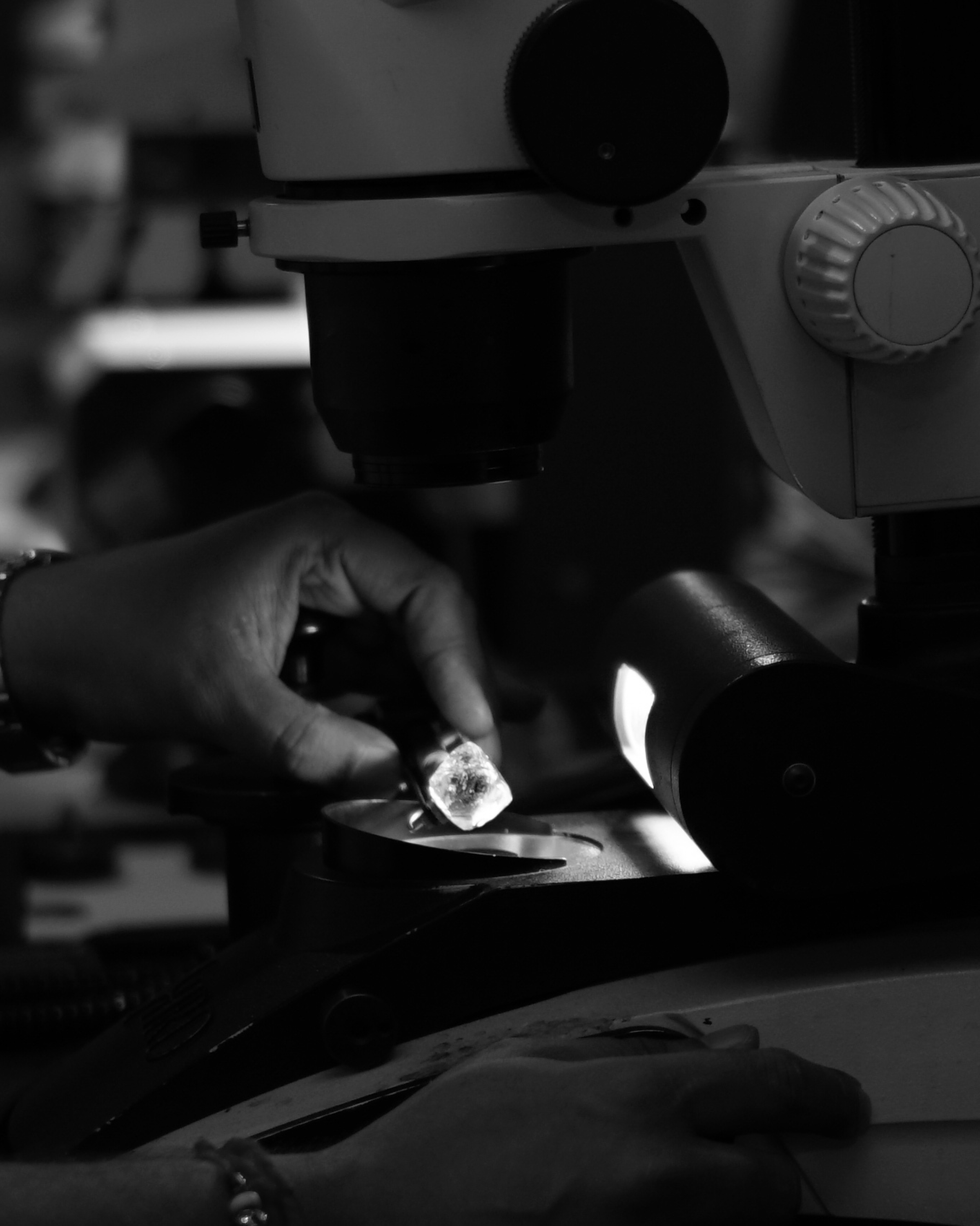 Venus Jewel: Diamond Craftsmanship, Ethics & Digital Evolution – Only Natural Diamonds