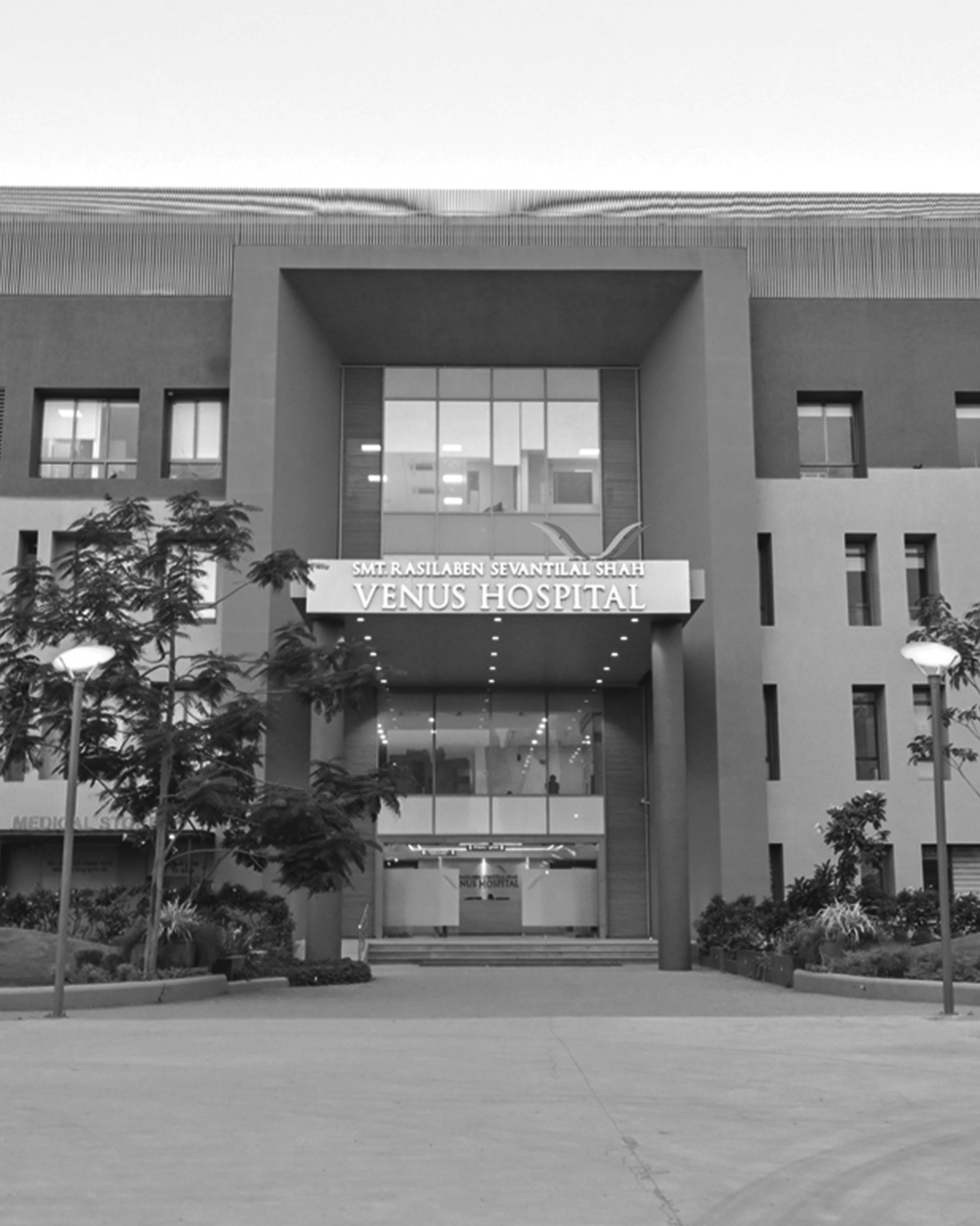 Venus Jewel: Diamond Craftsmanship, Ethics & Digital Evolution – Only ...