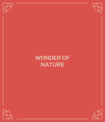 A-Z Guide to Natural Diamonds: Everything You Need to Know