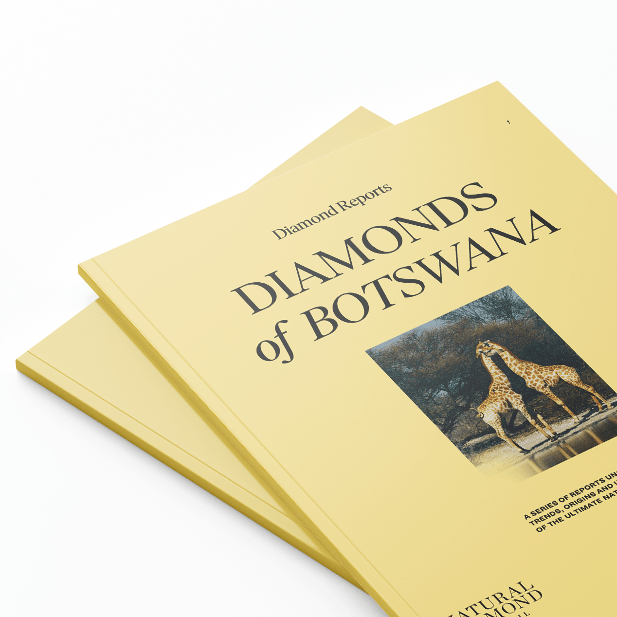 Where Are Diamonds Found? All About Diamond Origins